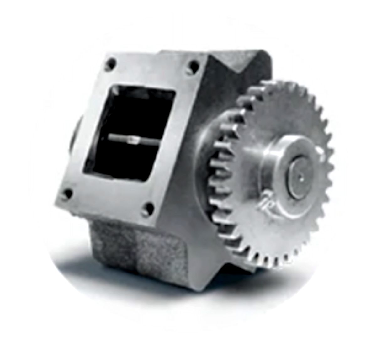 Granuliniai katilai SmartFire 11 - Paltaja